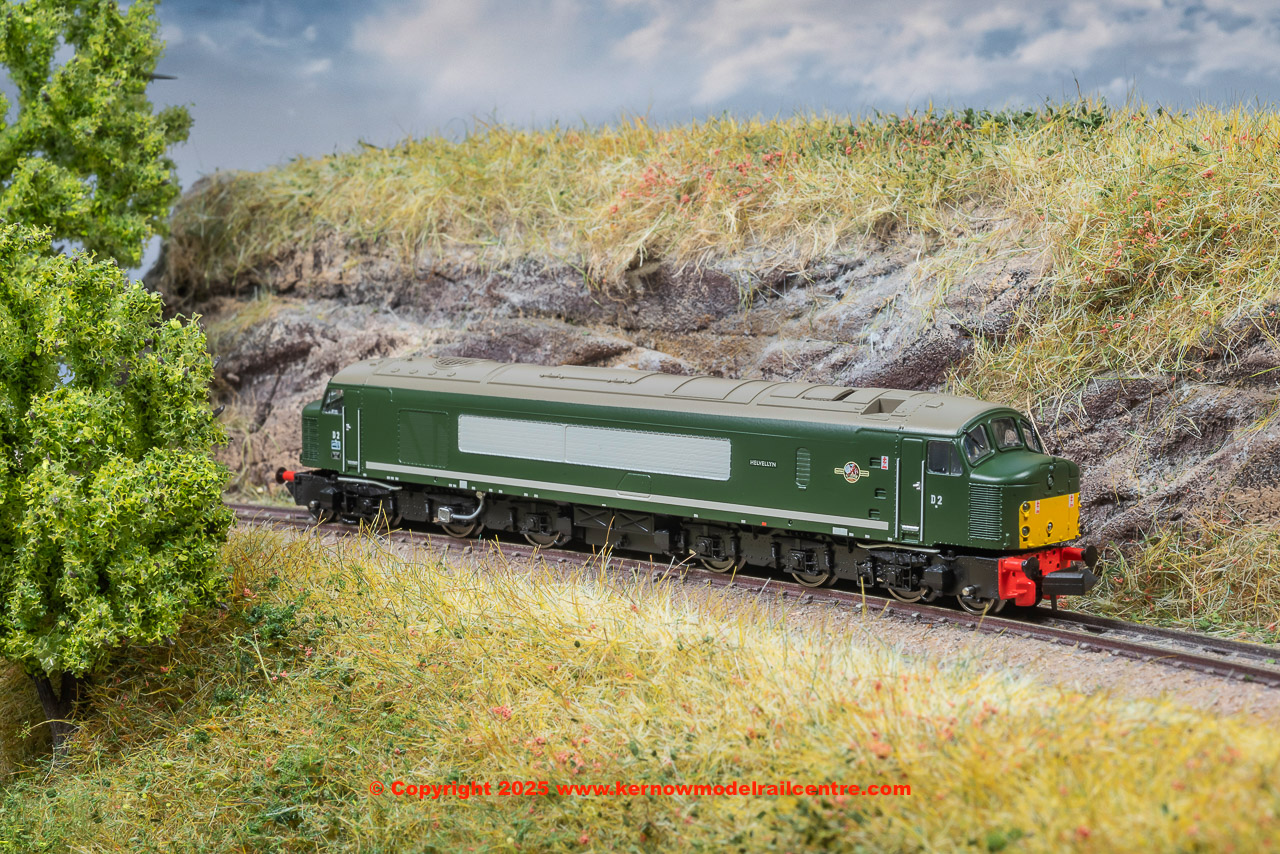 948503 WSL Rapido Class 44 D2 Helvellyn BR Green Yellow Panel